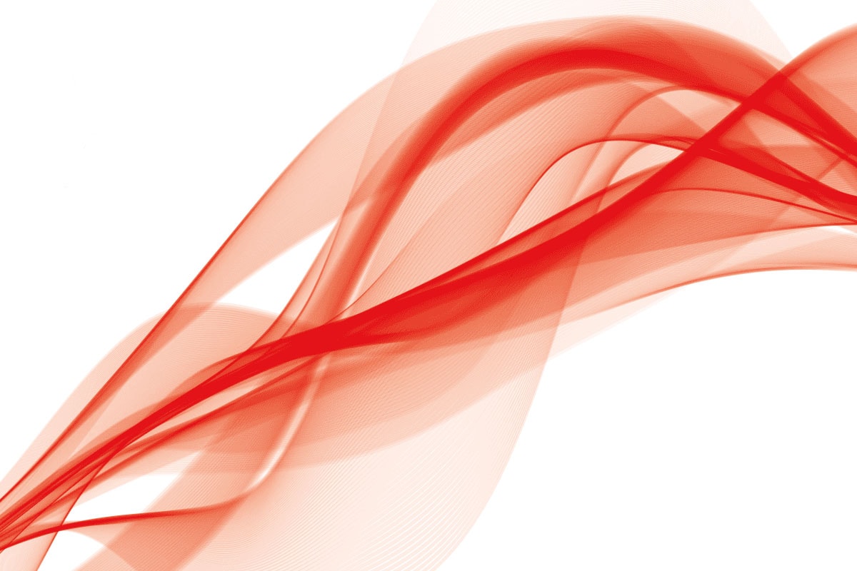 BOFA International Attends Launch of EMADA